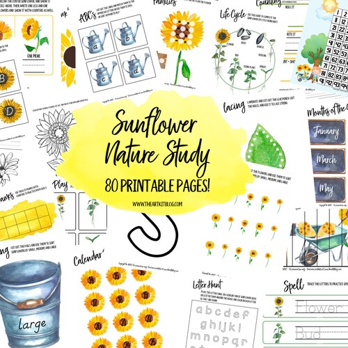 Sunflower Unit Study Printables Learning Materials Morning - Etsy