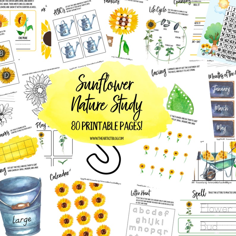 Sunflower Nature Study Printables Educational Learning Unit - Etsy