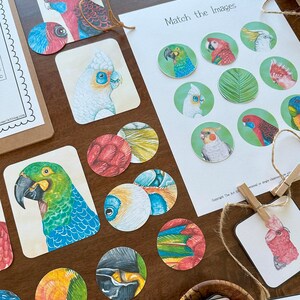 Parrot Printable, Bird Printable, Bird Maze, Parrot Puzzle, Homeschool ...