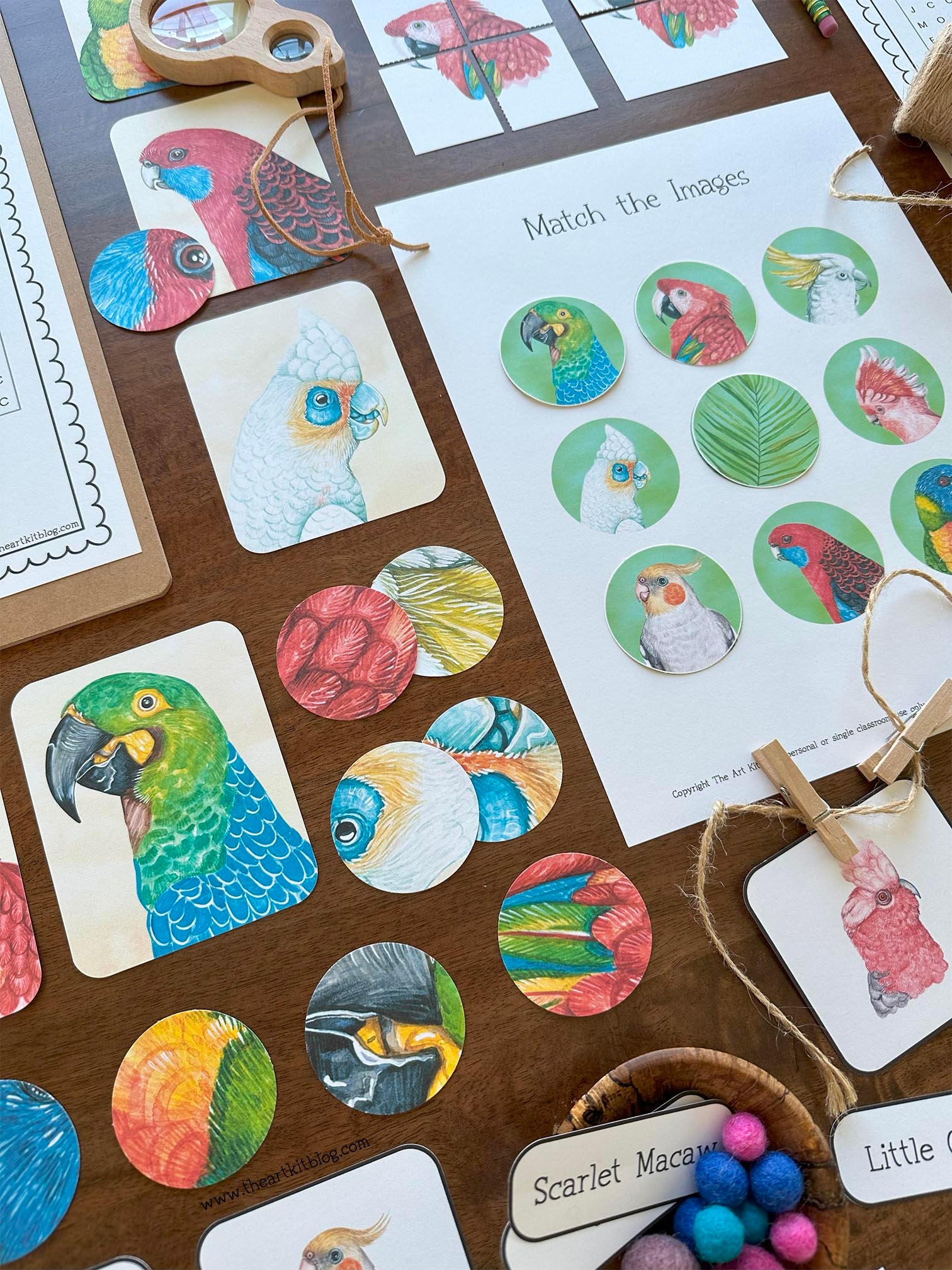 Parrot Printable, Bird Printable, Bird Maze, Parrot Puzzle, Homeschool ...