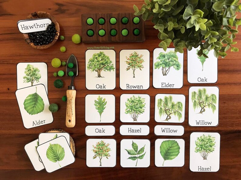 3 Part Cards, Trees, Leaves Printable, Classroom Decor, Tree Unit Study ...