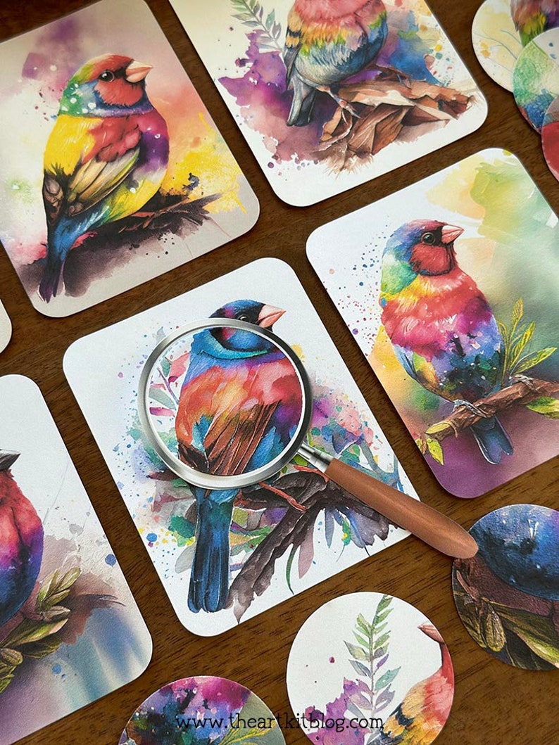 Rainbow Finch Bird Match Game Printable for Kids, PDF Download, Memory ...