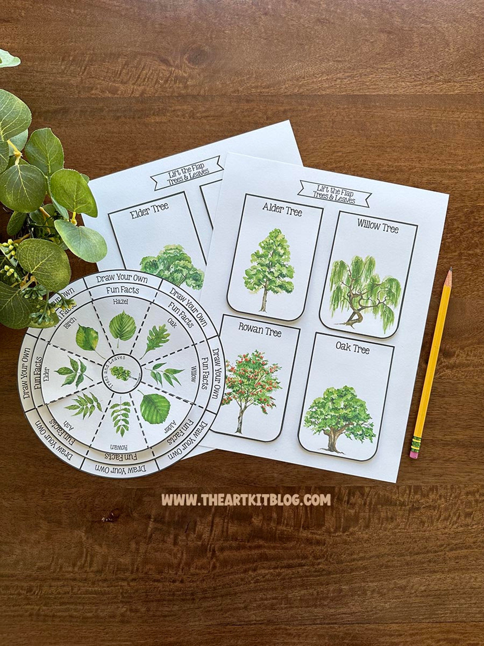 Trees and Leaves Science Study Guide, Foldable Wheel, Lift the Flap ...