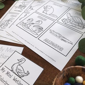 Mini Wetland Animals Coloring Book, Wetland Coloring Pages, Coloring ...