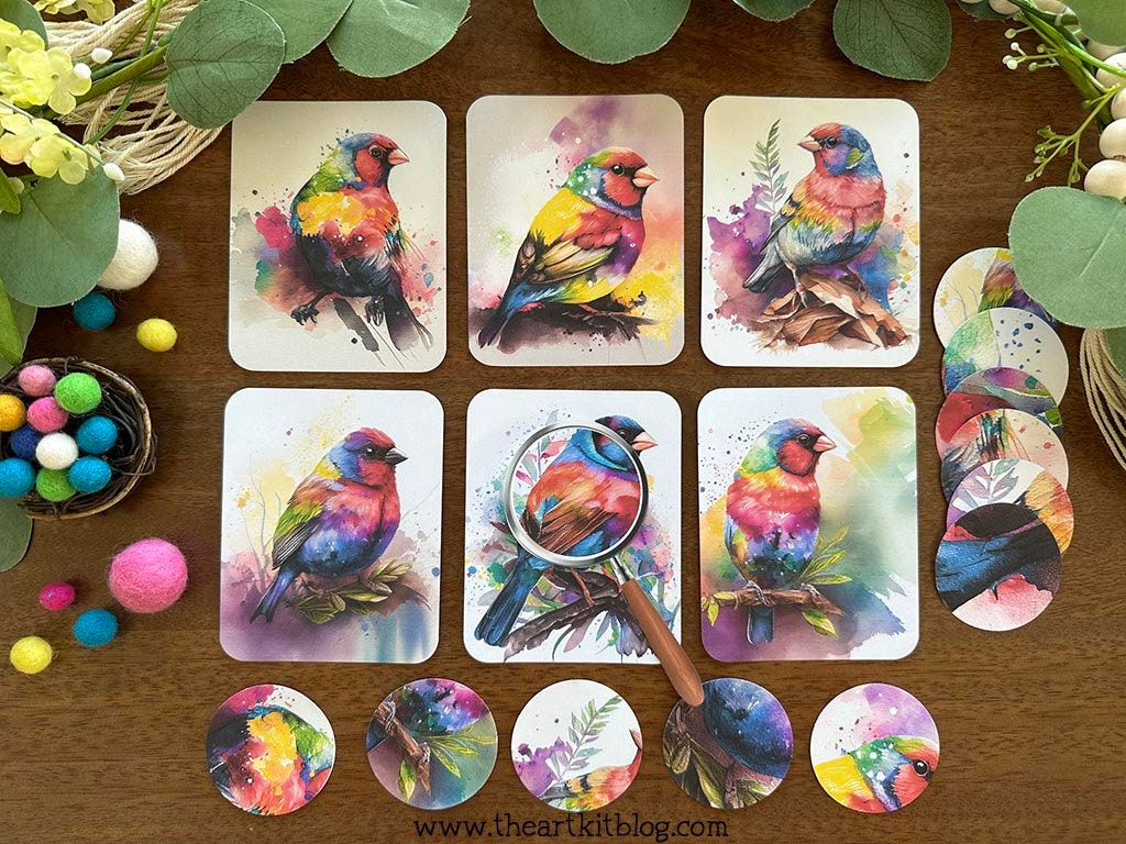 Rainbow Finch Bird Match Game Printable for Kids, PDF Download, Memory ...