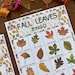 Fall Leaves Bingo, Bingo Game Printable, Fall Printables, Autumn ...