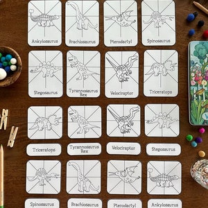 Dinosaur 3 Part Cards PDF, Montessori Nomenclature Cards, Classroom ...