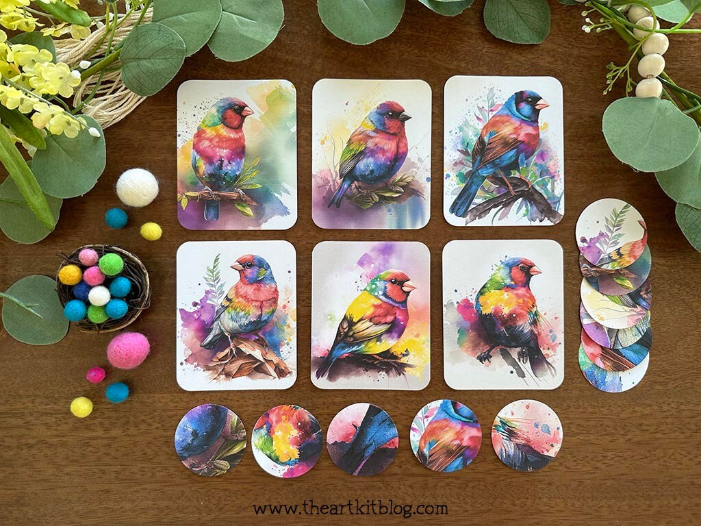 Rainbow Finch Bird Match Game Printable for Kids, PDF Download, Memory ...