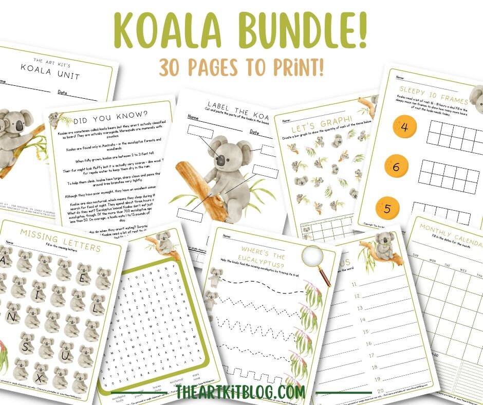 Koala Unit Study, Homeschool Printables, Koala Anatomy, Worksheets ...