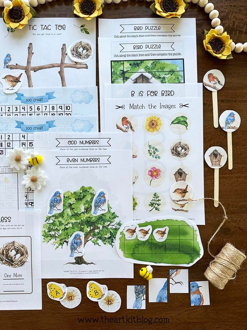 Bird Unit Study Nature Study Printables Bird Activity - Etsy