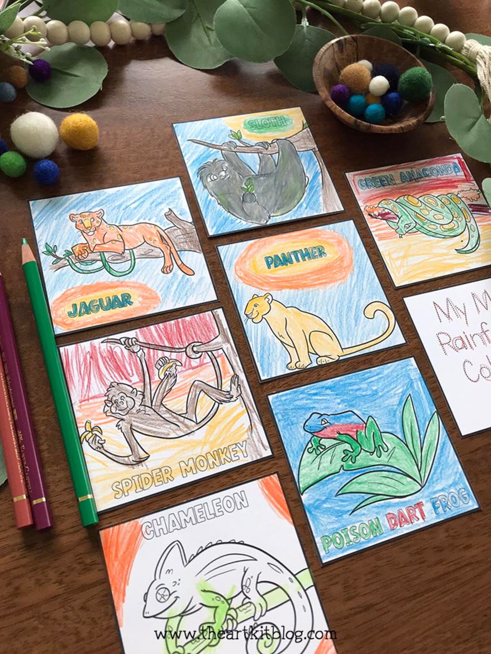 Mini Rainforest Animals Coloring Book Rainforest Coloring - Etsy