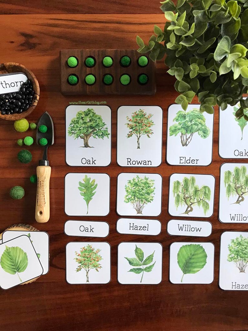 3 Part Cards, Trees, Leaves Printable, Classroom Decor, Tree Unit Study ...