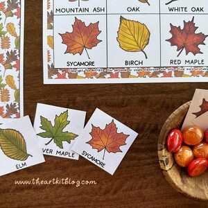 Fall Leaves Bingo, Bingo Game Printable, Fall Printables, Autumn ...