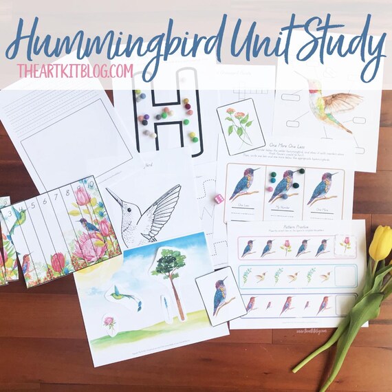 Hummingbird Unit Study Charlotte Mason Educational Learning - Etsy