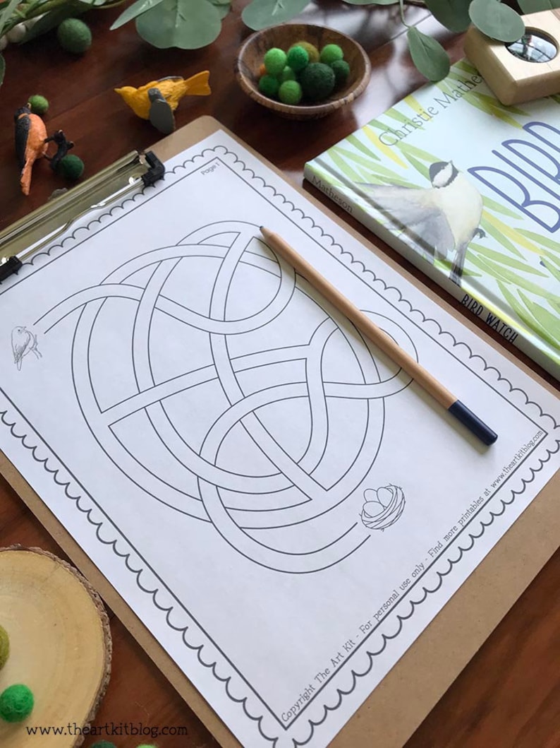 Bird Game Bundle of Printables for Kids, Pairs With Bird Watch Book ...