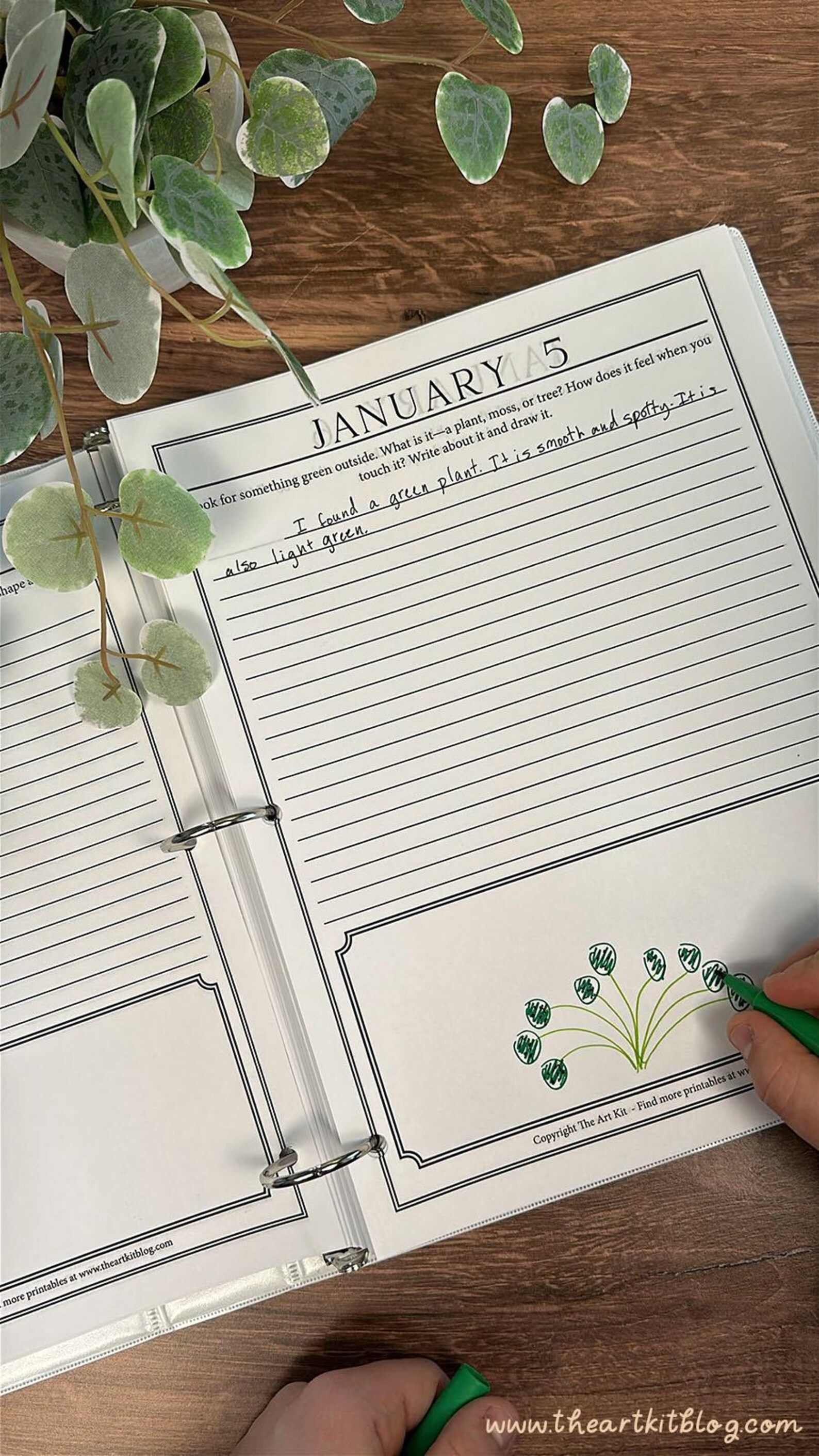 365 Days of Nature Observation Journal Prompts, Digital Download ...