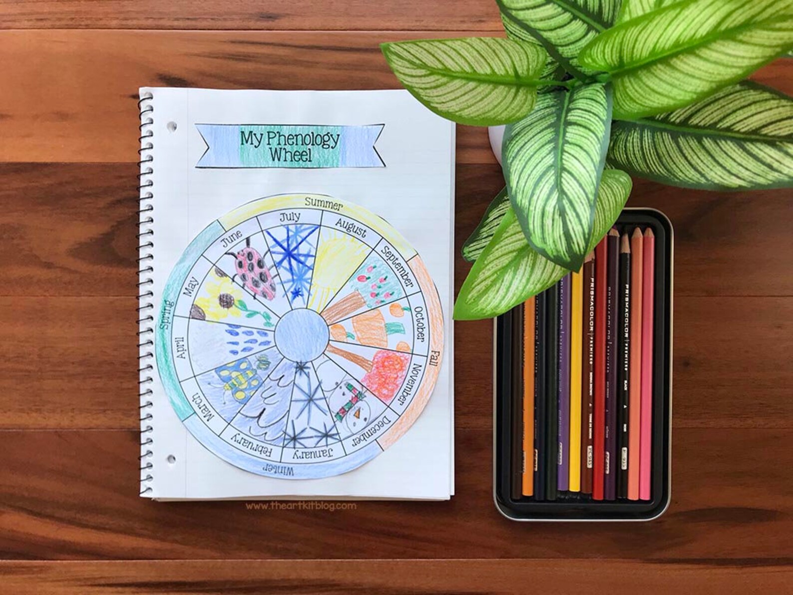 Monthly Phenology Wheel Printable Template, Nature Journaling ...