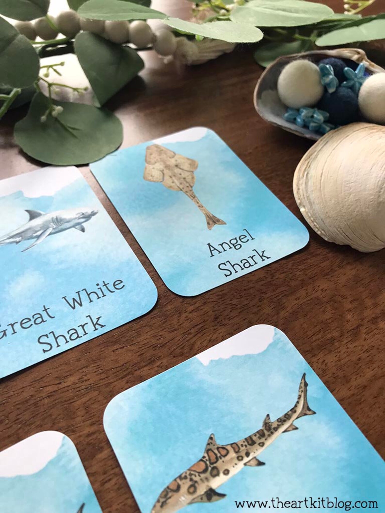 Shark 3 Part Cards PDF Montessori Nomenclature Card - Etsy