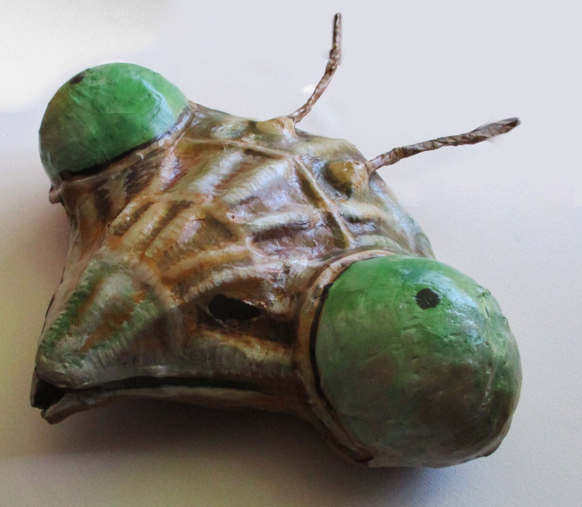 Preying Mantis Mask Insect Mask Mask Cosplay Bugpaper - Etsy