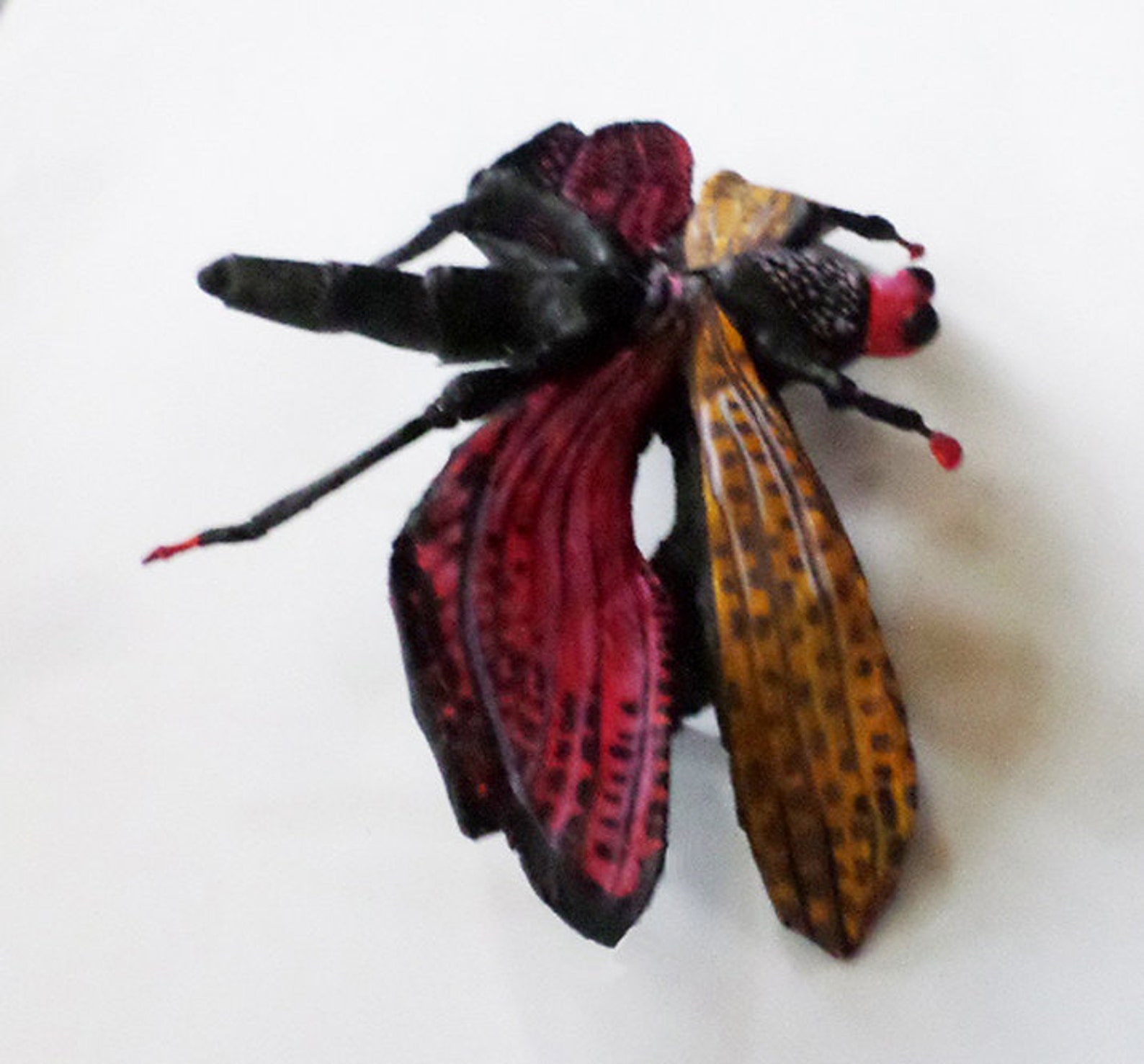 Giant Grasshopper Mask Tropidacris Dux Peruvian Grasshopper | Etsy