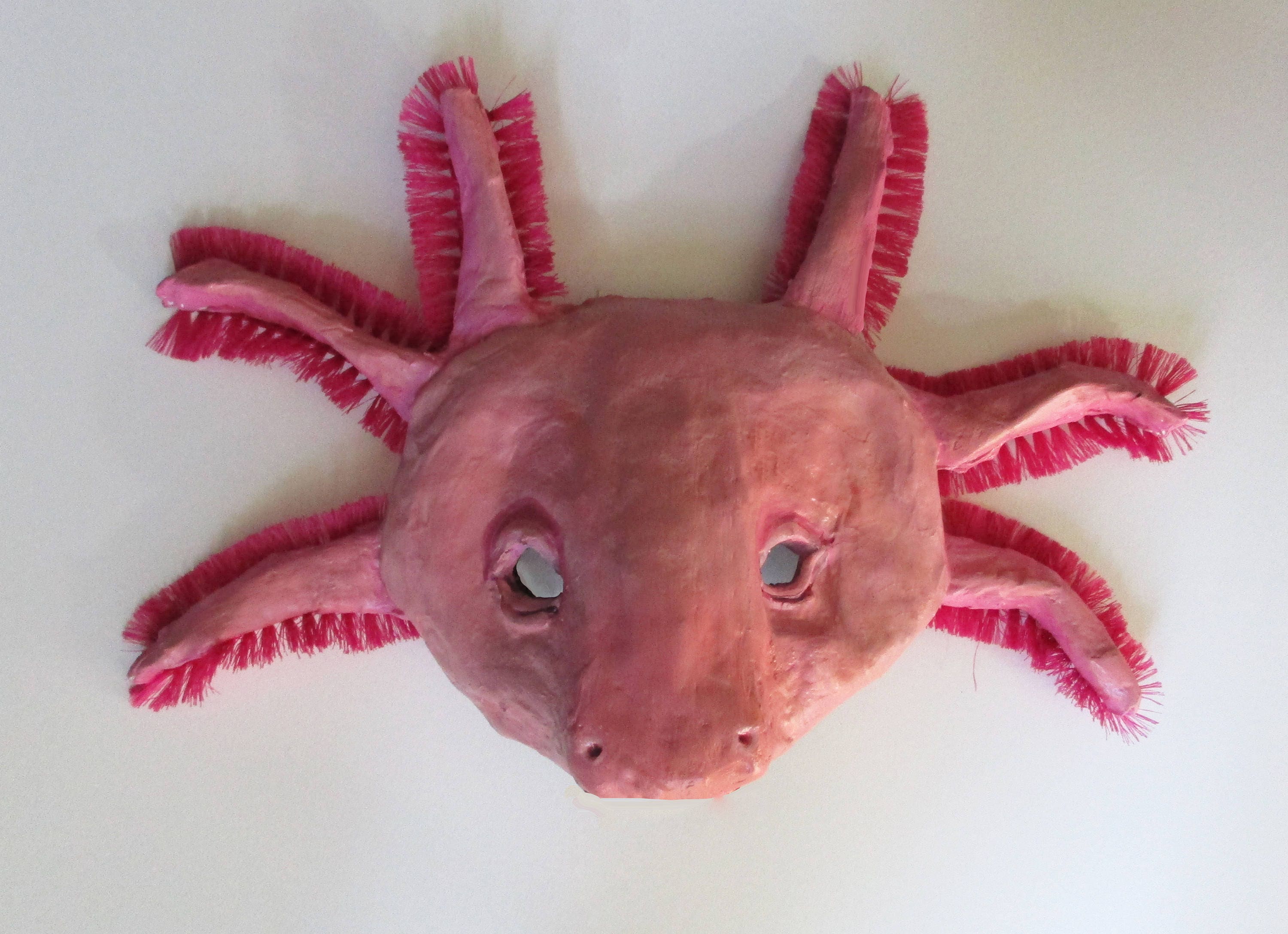 Axoloti Salamander Mask Amphibian Paper Mache Wearable - Etsy Canada