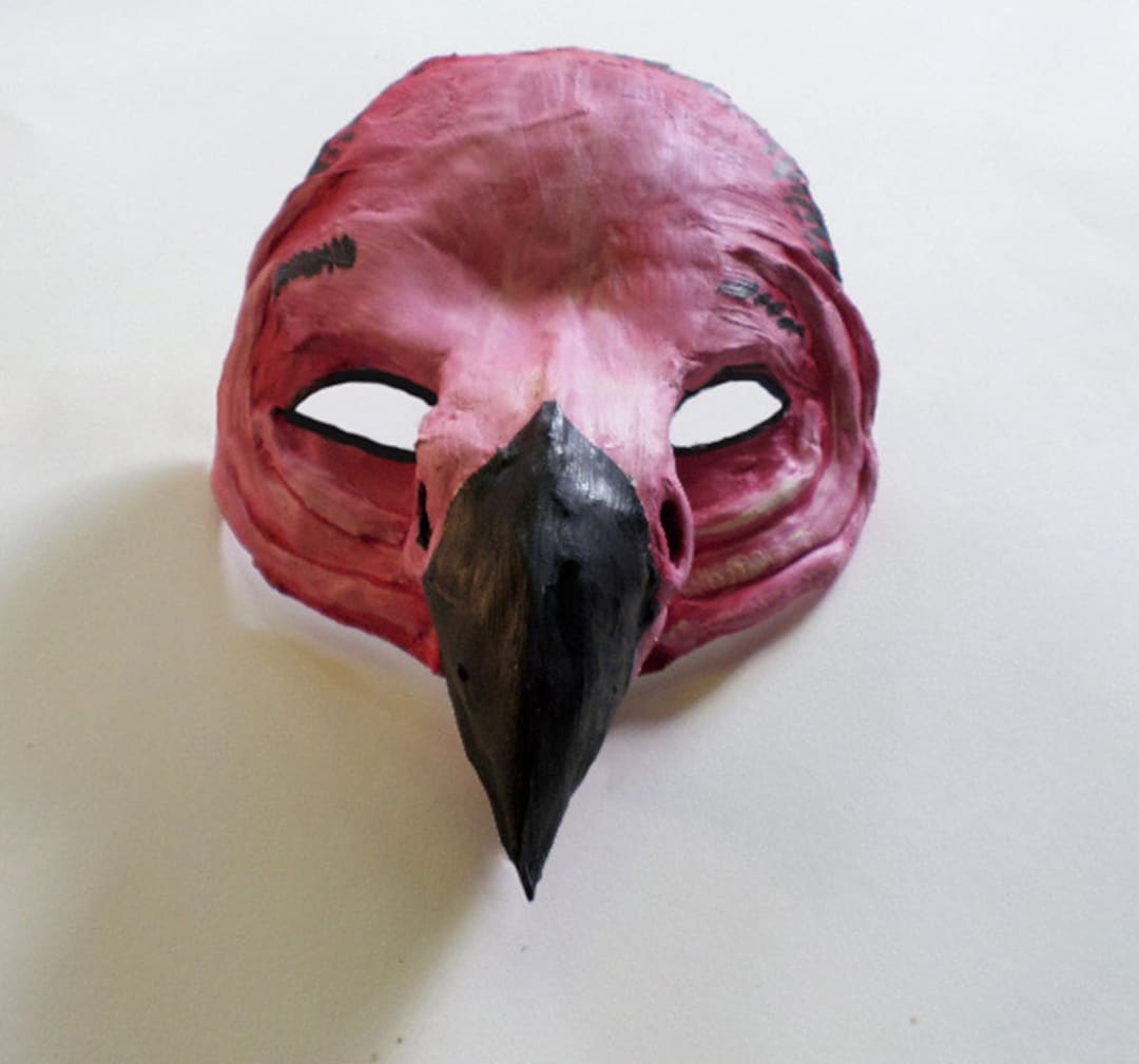 Vulture Mask, Lappet Faced Vulture, Paper Mache, Wearable, Bird Half ...