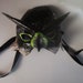 Peregrine Falcon Mask, Falcon, Bird Mask, Bird of Prey, Wearable, Paper ...