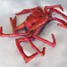 Crab Mask, Crustacean, Sea Creature, Mask,paper . Mache,wearable - Etsy