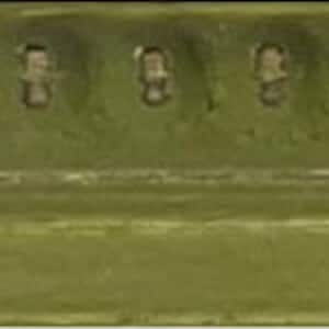 Crown Olive Green Photo Frame With Pink Mount, Wooden Bobbin Distressed ...