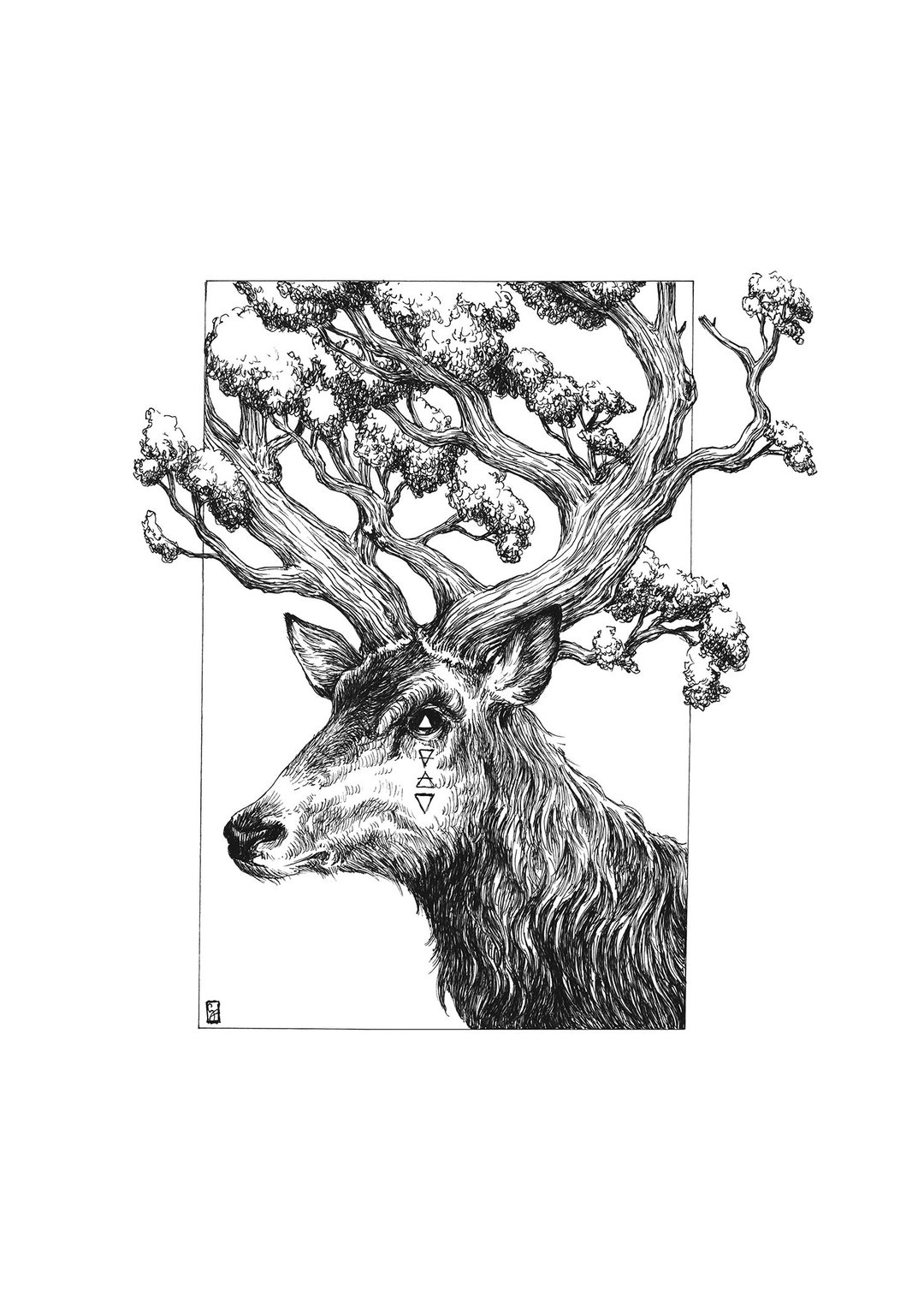 Fine Art Print / Folklore and Fairytales / Fantasy Artwork: Dáinn ...