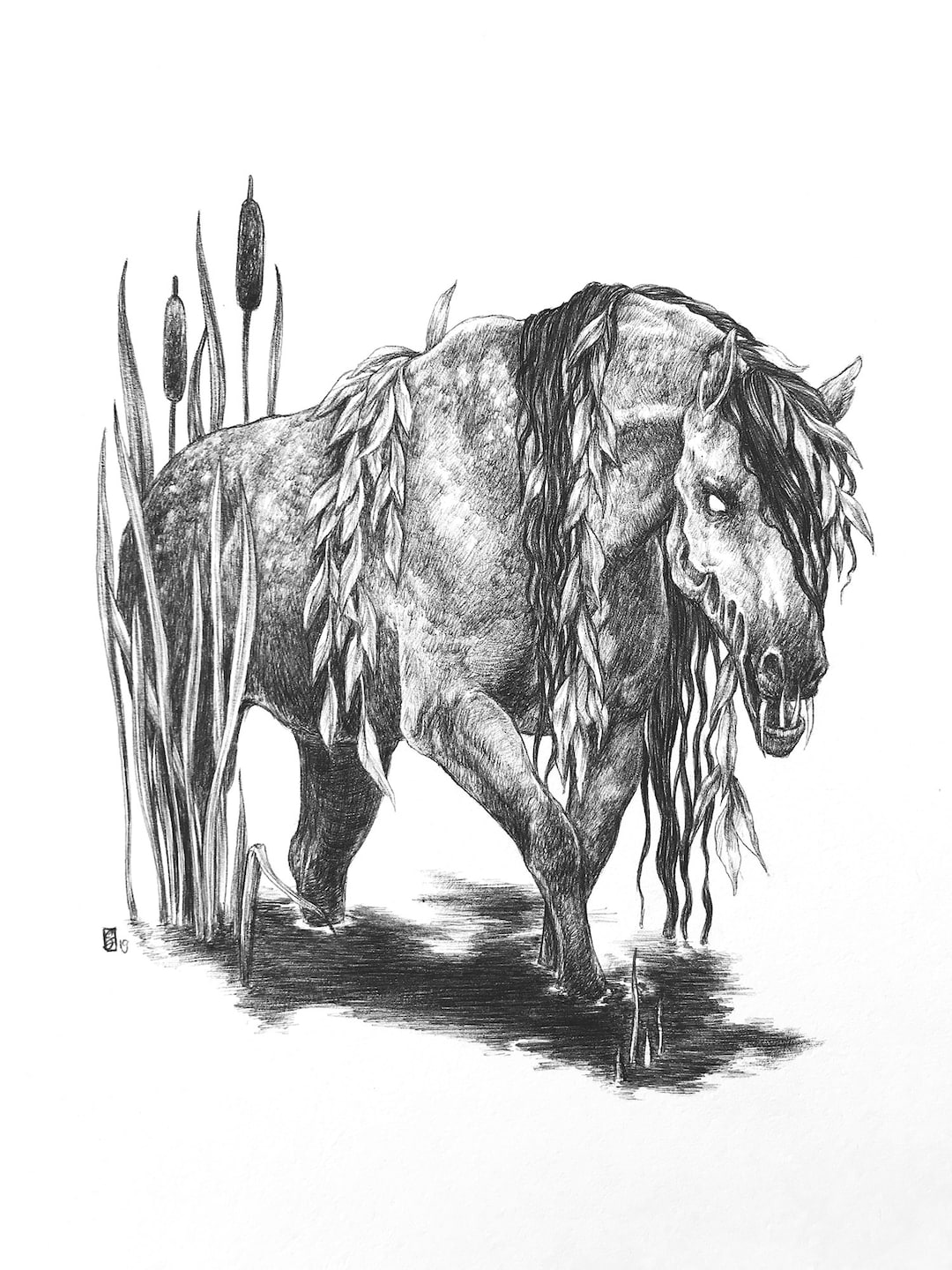 Fine Art Print / Folklore and Fairytales / Fantasy Artwork: Kelpie - Etsy