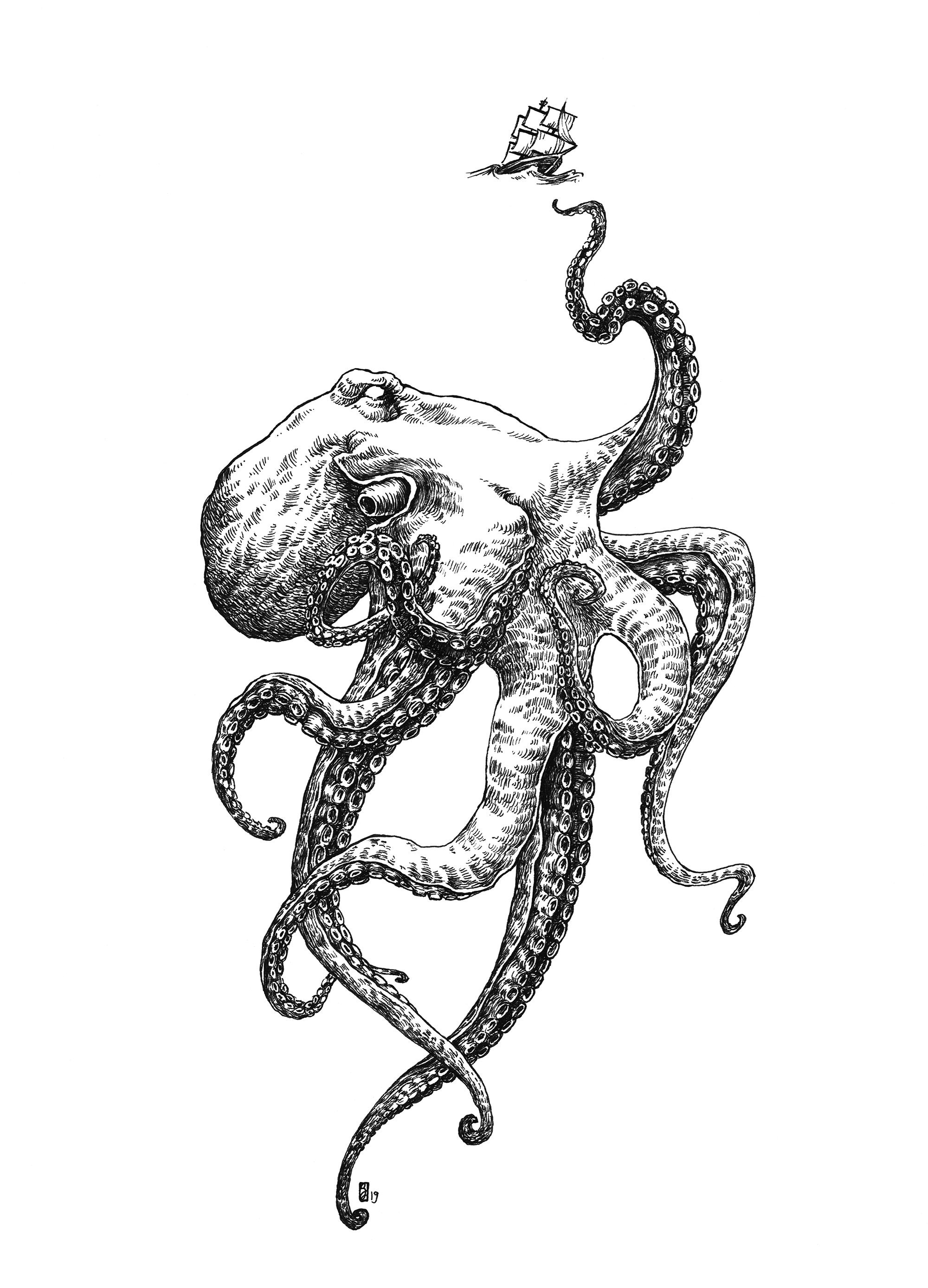 Kraken Illustration