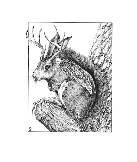 Fine Art Print / Cryptozoology / Fantasy Artwork: Wolpertinger - Etsy