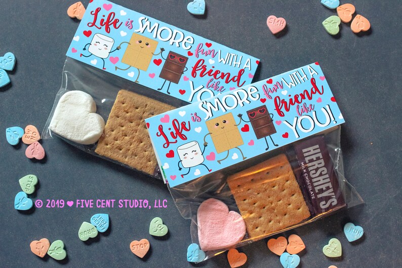 Life is S'more Fun With A Friend Like You School Valentine's Day ...