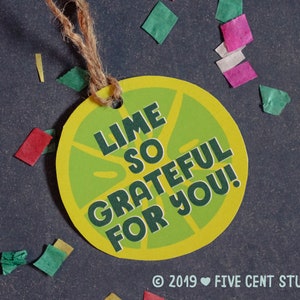 Lime so Grateful for You Printable Tag - Punny Fruit Thank You Gift Tag ...