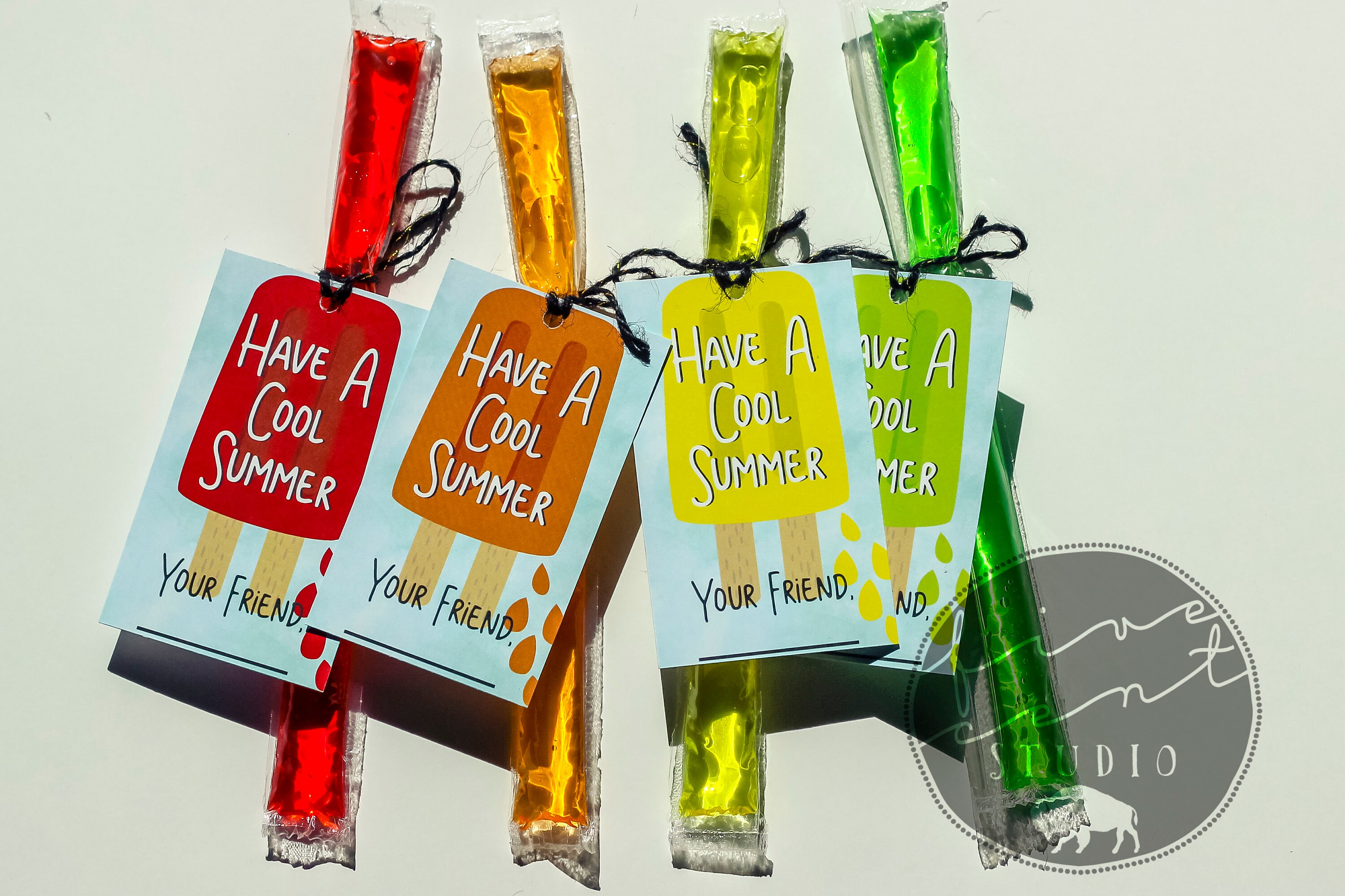Have a Cool Summer Freeze Pop Freezer Ice Pops Printable Tags - Etsy