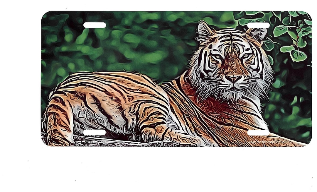 Tiger License Plate LP2079 - Etsy