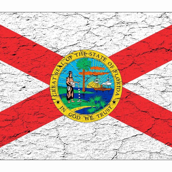 Florida State Flag - Etsy