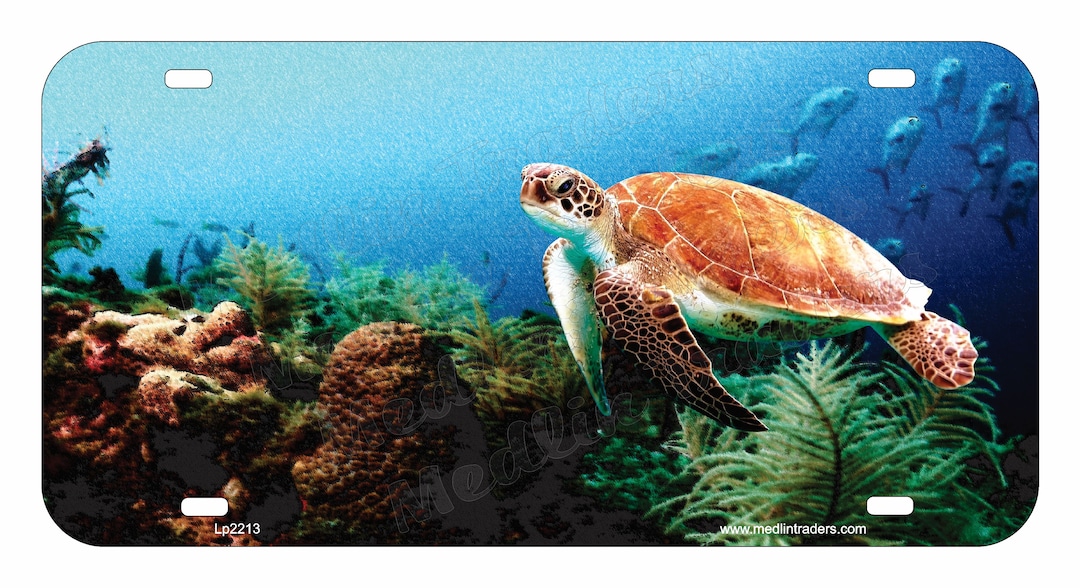 Sea Turtle Novelty Front License Plate LP2213 - Etsy