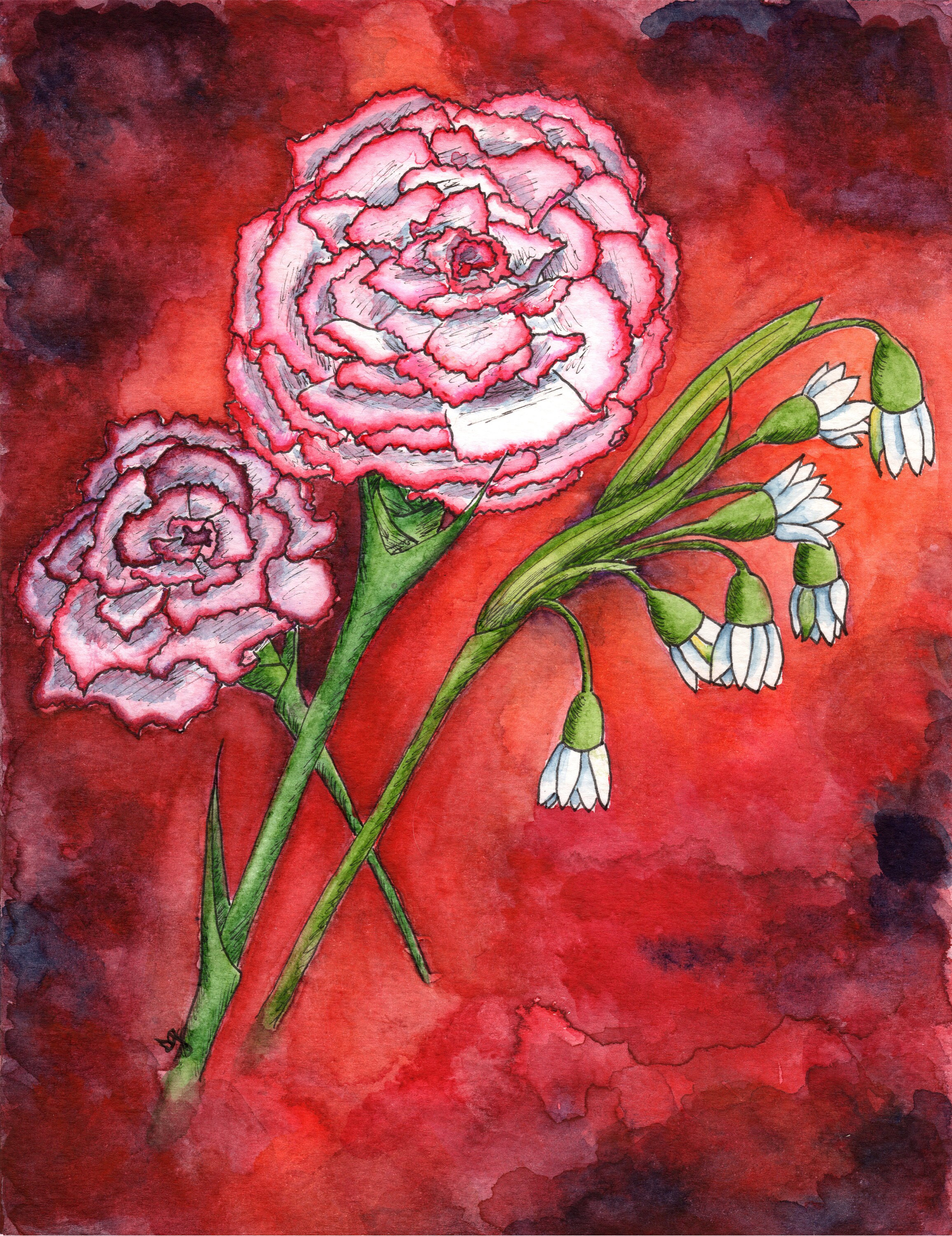 January Birthday Card Carnation & Snowdrop Greeting Card Watercolor ...