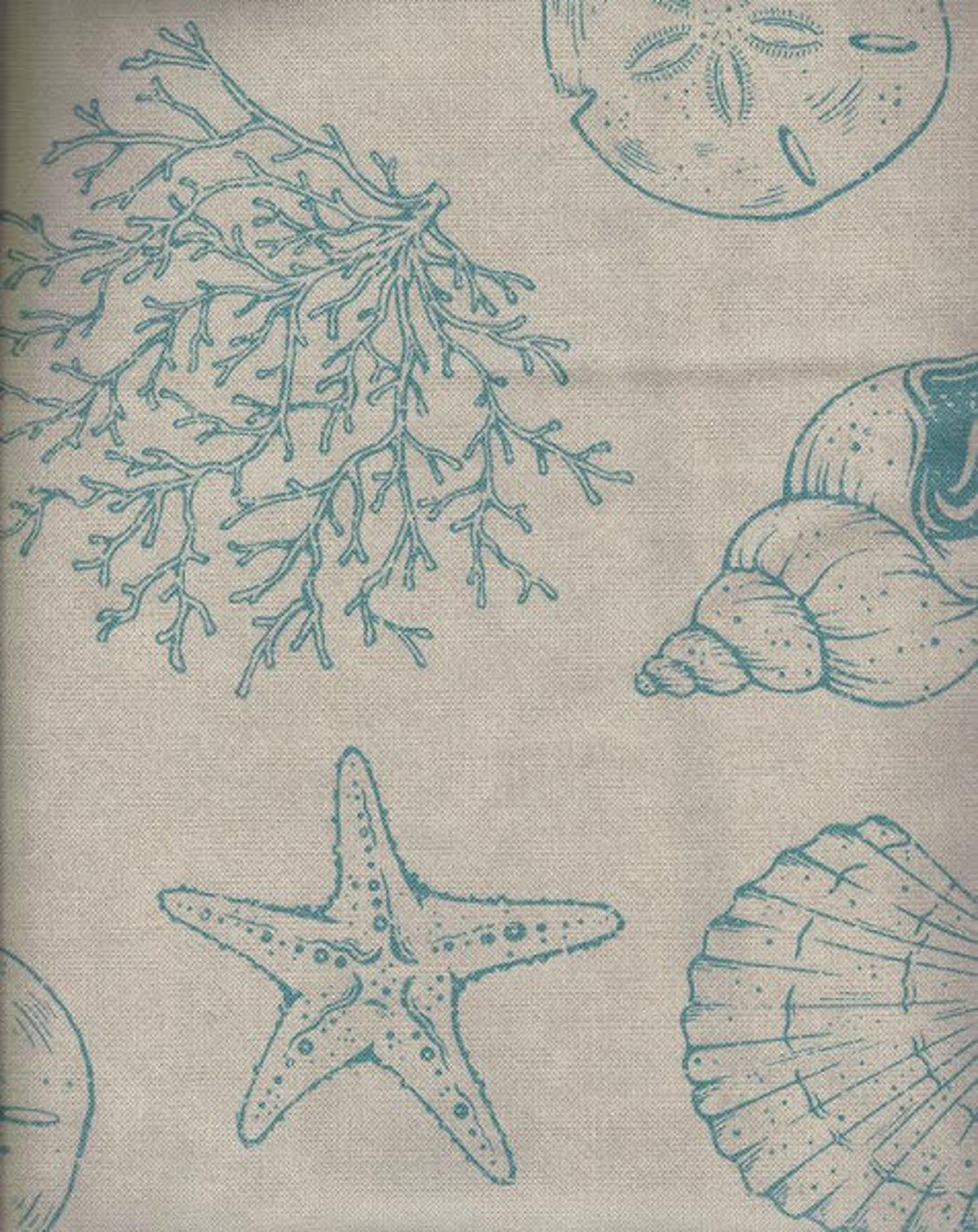 Sea Shell Seashell Vinyl Tablecloth With Flannel Back - Etsy