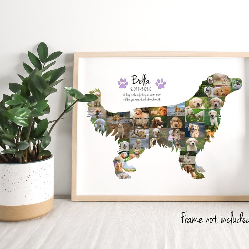 Dog Photo Collage - Etsy