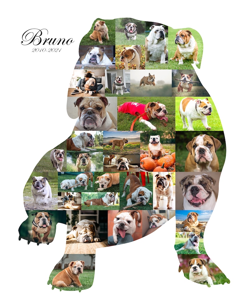 English Bulldog Photo Collage, Personalized Pet Memorial Gift, Custom ...