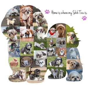 Shih Tzu Photo Collage, Dog Mom Gift, Personalized & Custom Made With ...