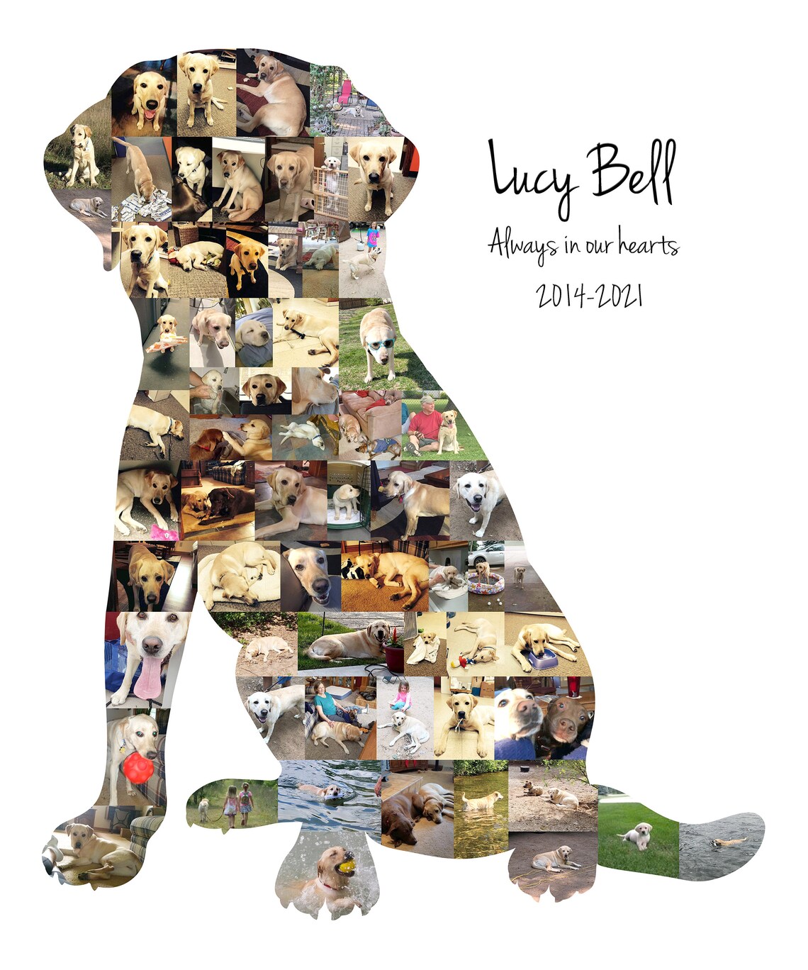 Labrador Retriever Photo Collage, Lab Dog Mom Gift, Pet Memorial Gift ...