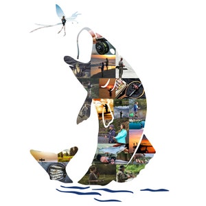 Personalized Fish Photo Collage Christmas or Birthday Gift - Etsy