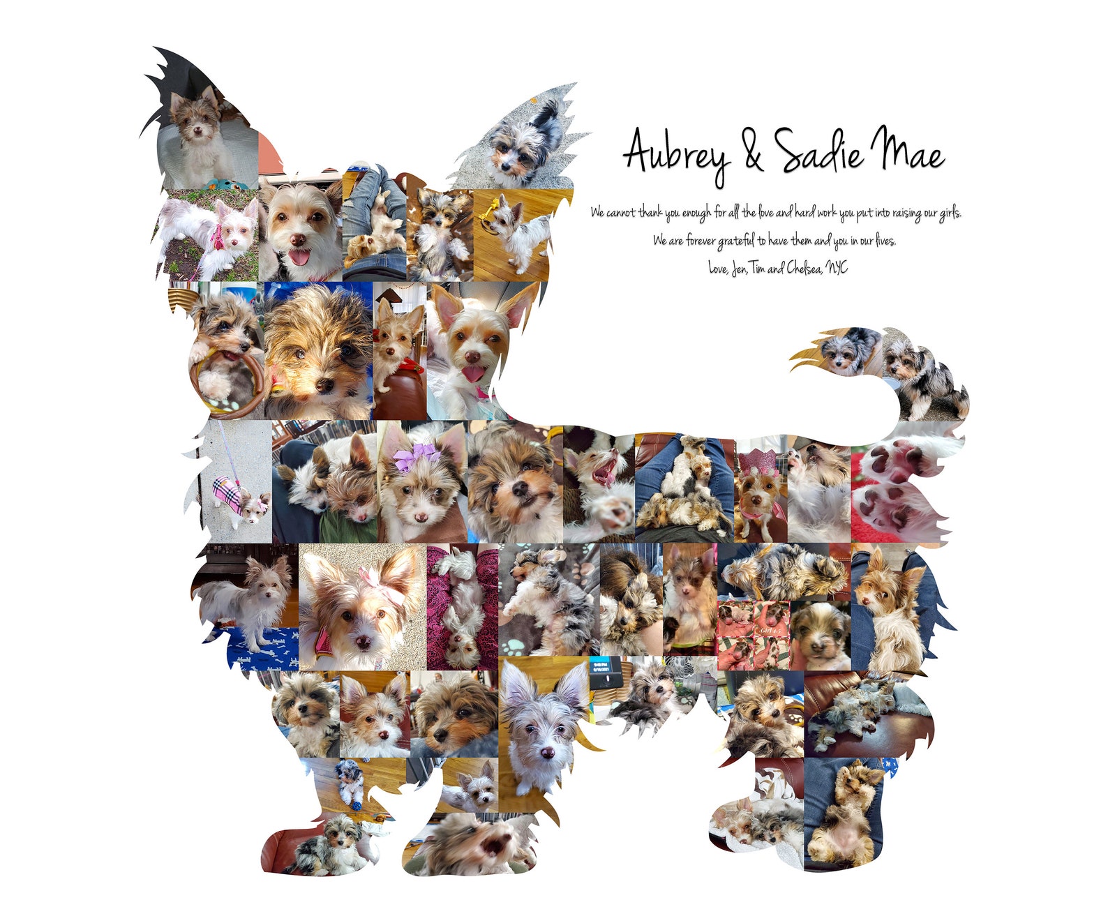 Yorkshire Terrier Photo Collage, Yorkie Dog Mom Gift, Pet Memorial Gift ...