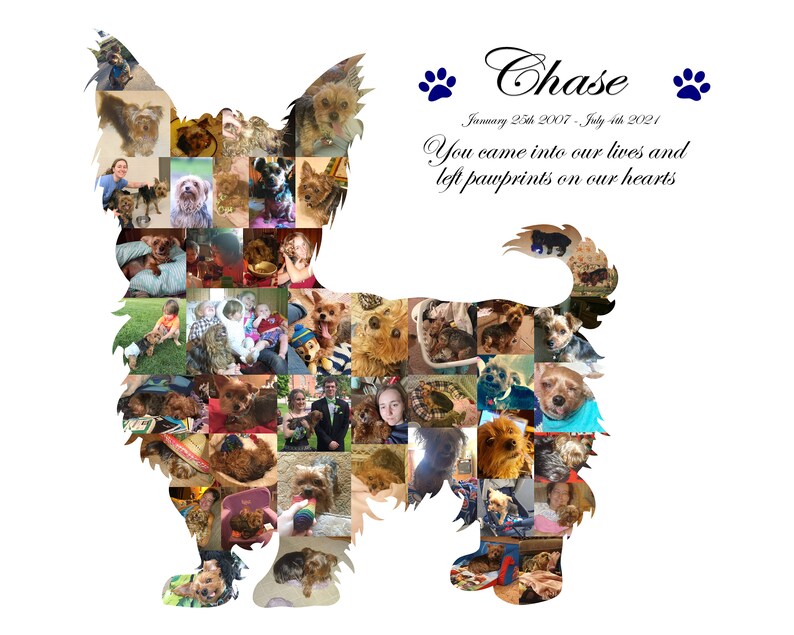 Yorkshire Terrier Photo Collage, Yorkie Dog Mom Gift, Pet Memorial Gift ...