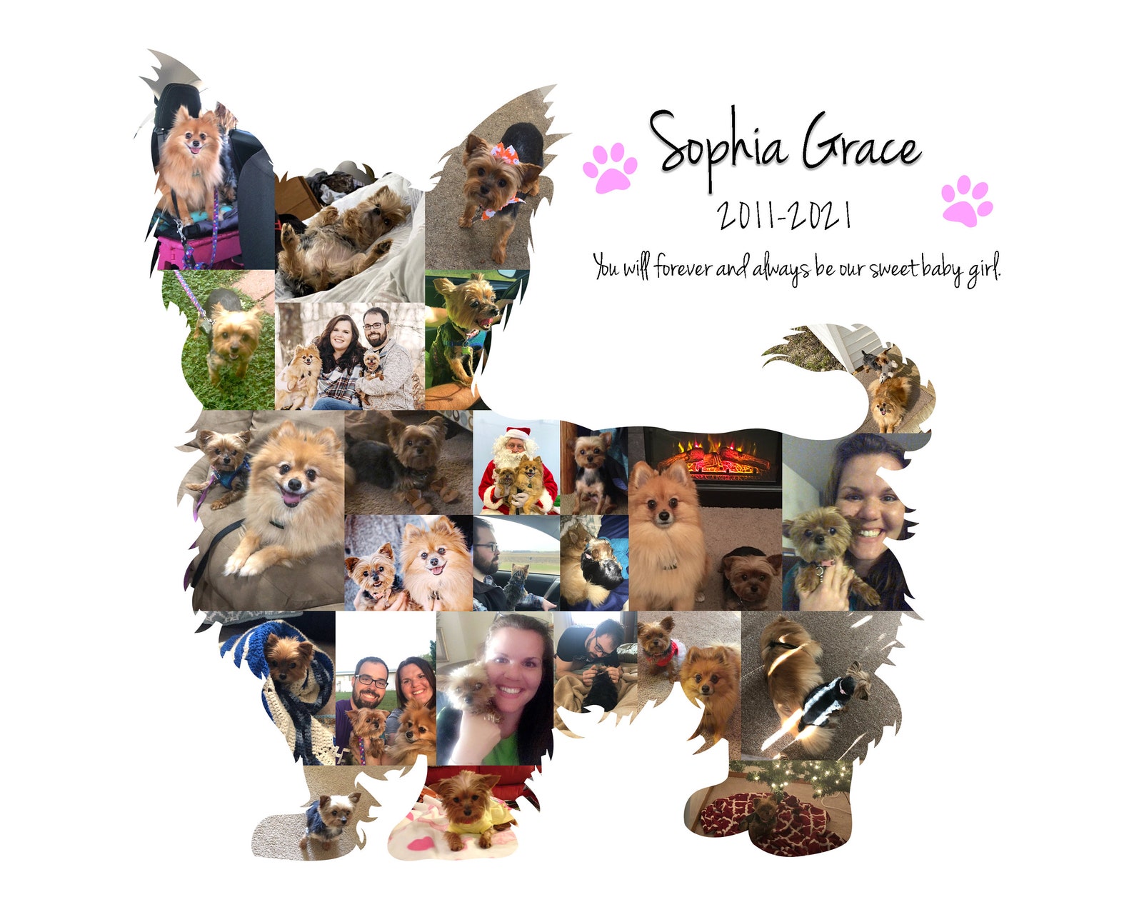 Yorkshire Terrier Photo Collage Yorkie Dog Mom Gift Dog - Etsy