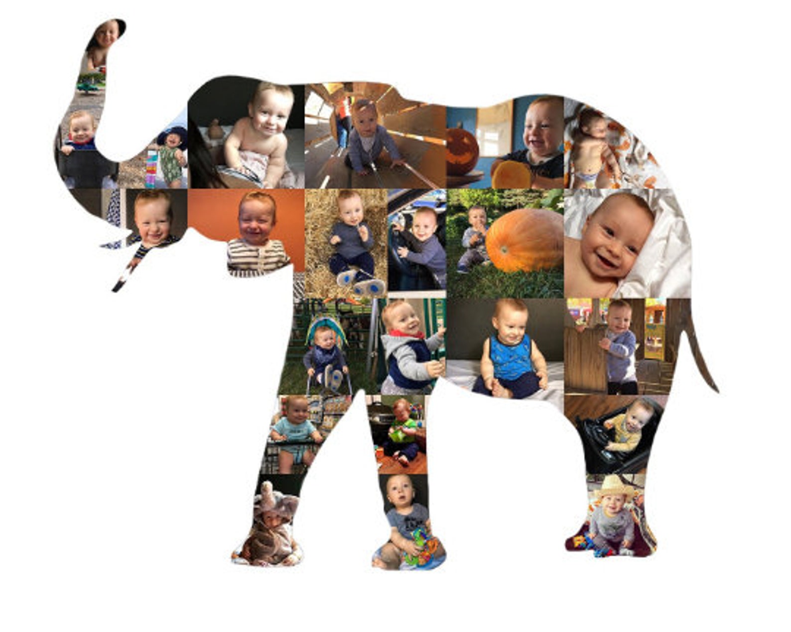 Elephant Photo Collage Gift - Elephant Nursery Wall Art Decor ...